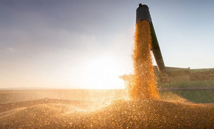 Longping amplia planta em Paracatu e nova unidade em MT | Revista O ...